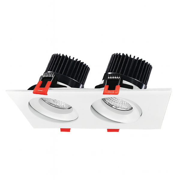 Recessed Multi-Head Downlight Series – 2 Head – Diamond Brite LEDs